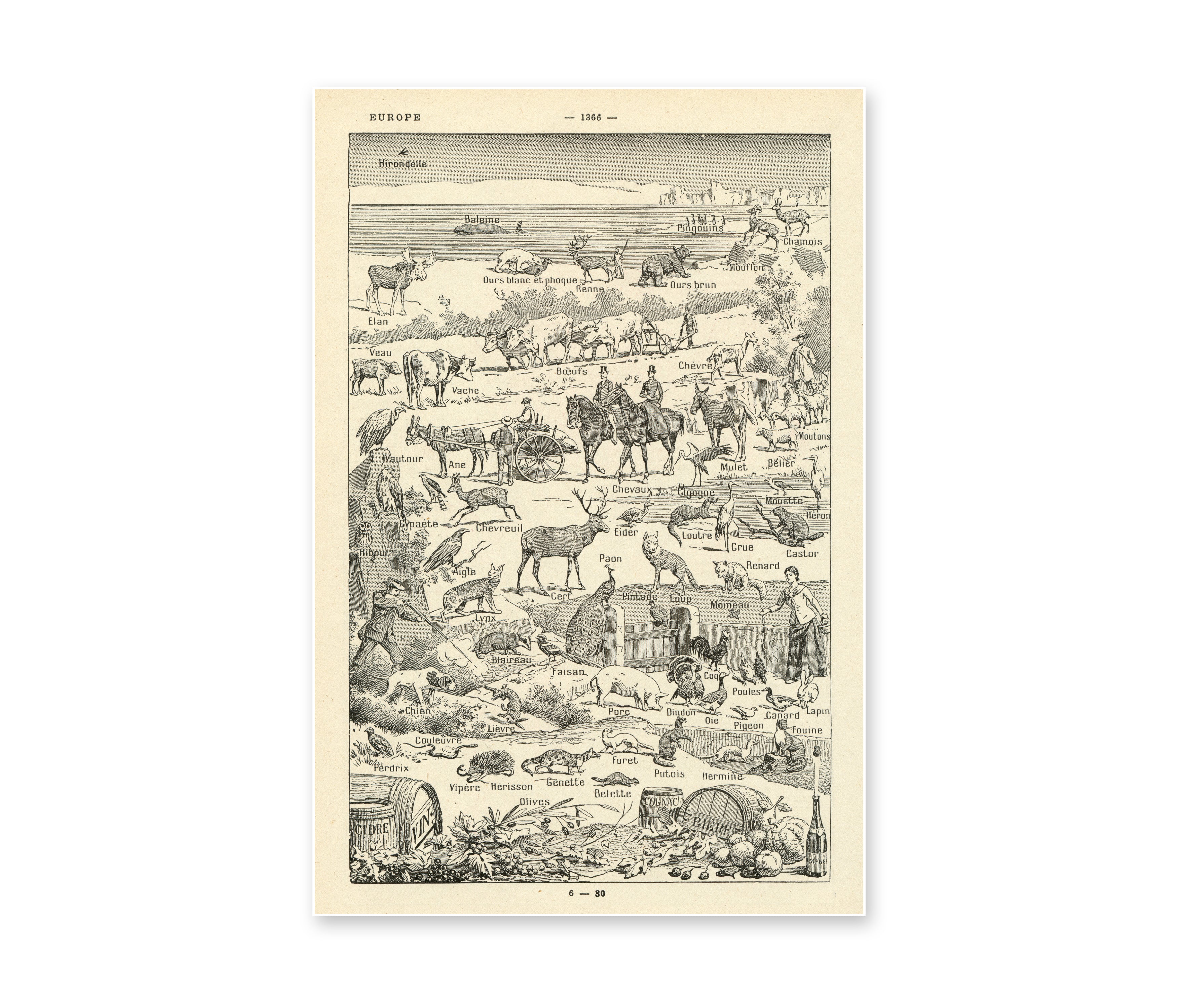 1906 Archaeology Illustrations POSTER! - Vintage Dictionary Prints ...